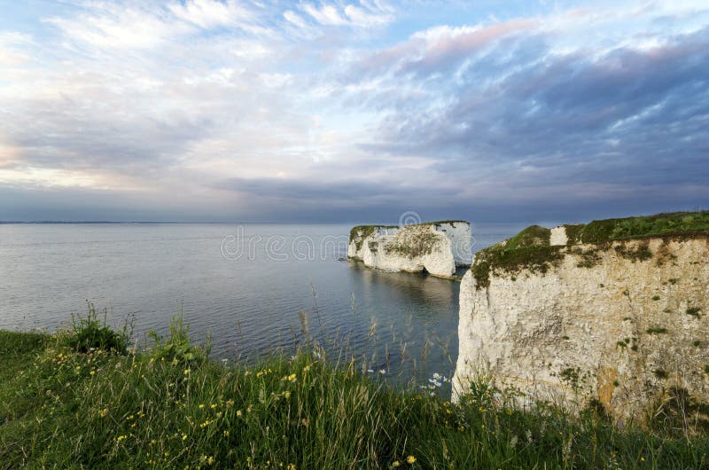Old Harry Rocks stock photo. Image of cost, chalk, blue - 28654244