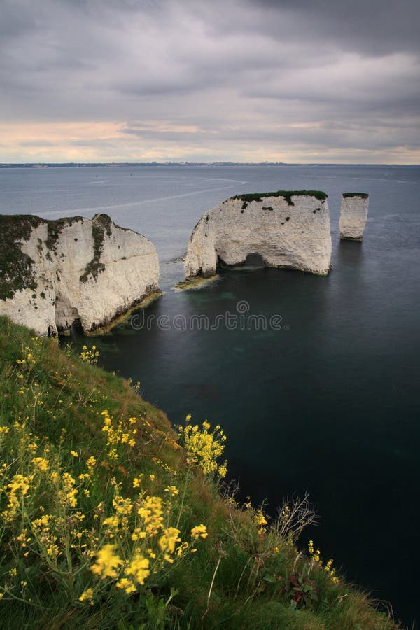 Old Harry Rocks stock photo. Image of mood, clouds, formation - 8328548