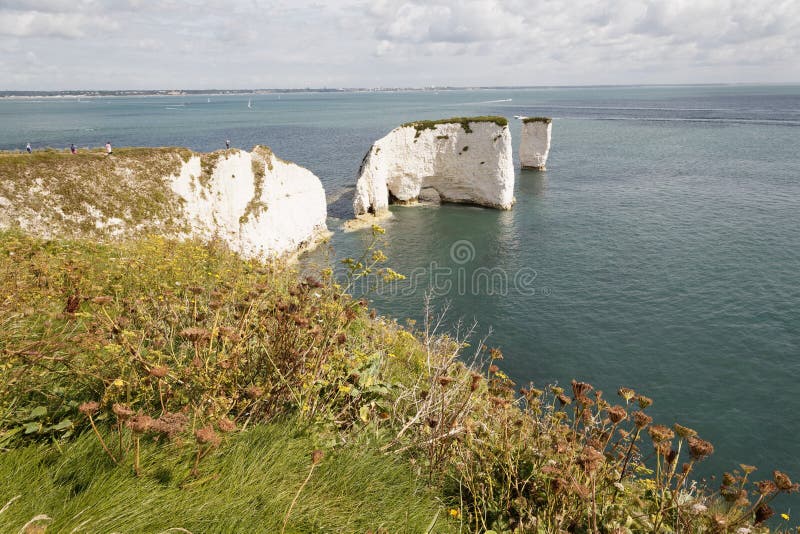Old Harry Rocks, Chalk Stacks, Swanage Dorset England Stock Image ... Old Harry Rocks, Chalk Stacks, Swanage Dorset England Stock Image ...