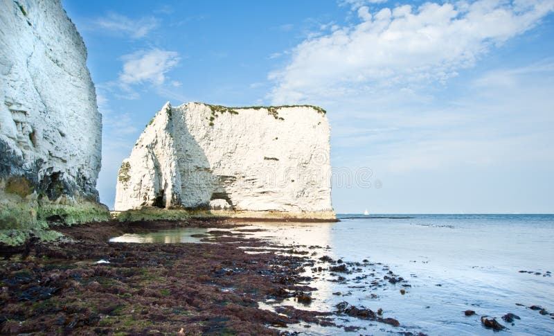 Old Harry Rocks Jurassic Coast UNESCO England Stock Photo - Image of ...
