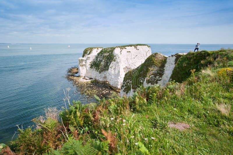 Old Harry Rocks Jurassic Coast UNESCO England Stock Photo - Image of ...