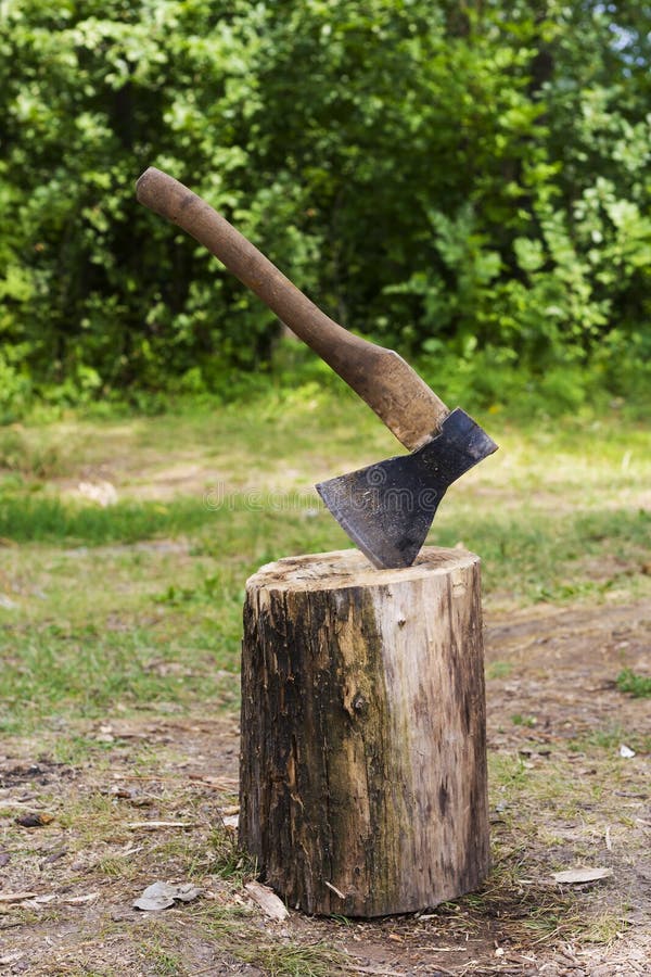 Old hatchet in a log stock image. Image of birch, hatchet - 242597963
