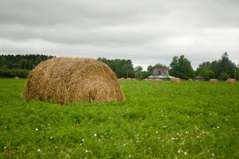 Old hay bale stock image. Image of natural, roll, minnesota - 13618811