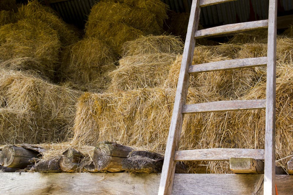 Old (hay)barn stock photo. Image of farm, barn, aged - 66224134