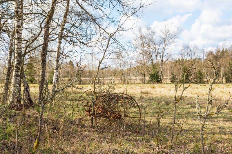 Old hay tedders at a field stock photo. Image of grass - 84999106