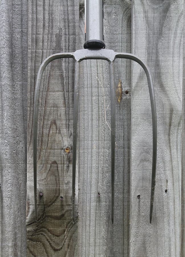 The Old Hayfork on Wood Background, Fork of Farmers Hoeing Weeds Stock ...