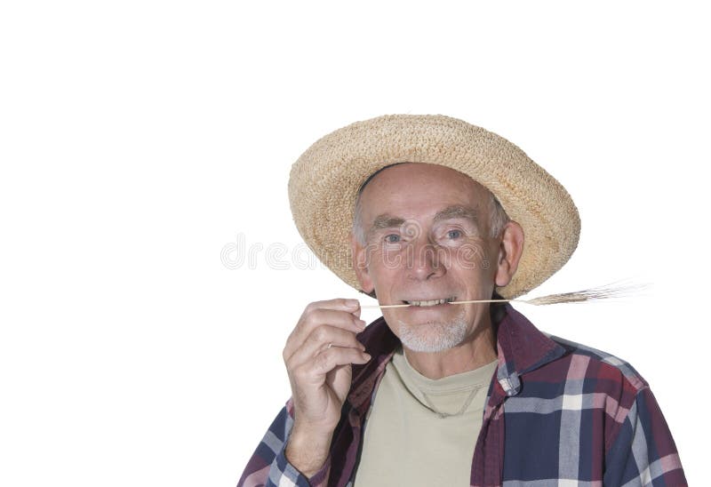 Old Hayseed with Grass in His Mouth Stock Image - Image of grass, straw ...