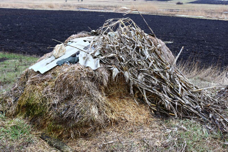 An Old Haystack in a Field Covered with Moss . Stock Image - Image of ...