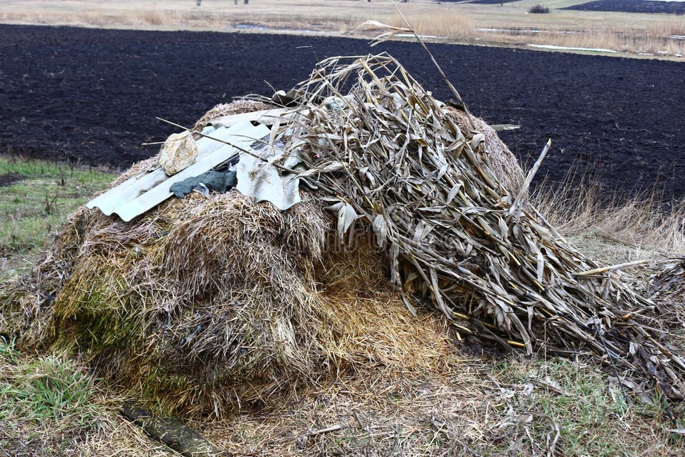 An Old Haystack in a Field Covered with Moss . Stock Image - Image of ...