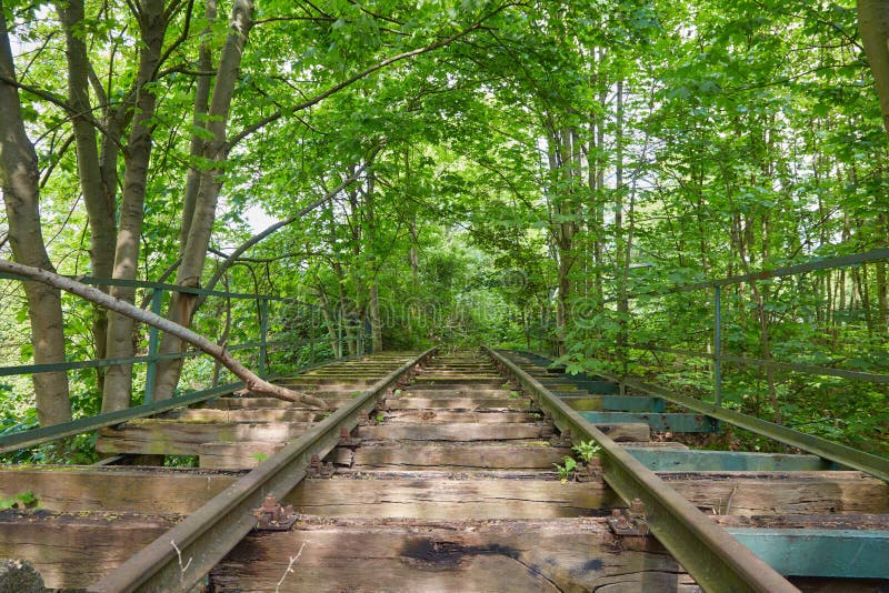 Lost place stock photo. Image of center, green, construction - 181950878