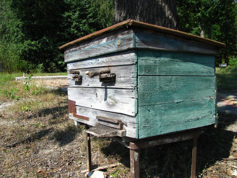 The Old Hive is in the Garde Stock Image - Image of plant, wood: 333688547