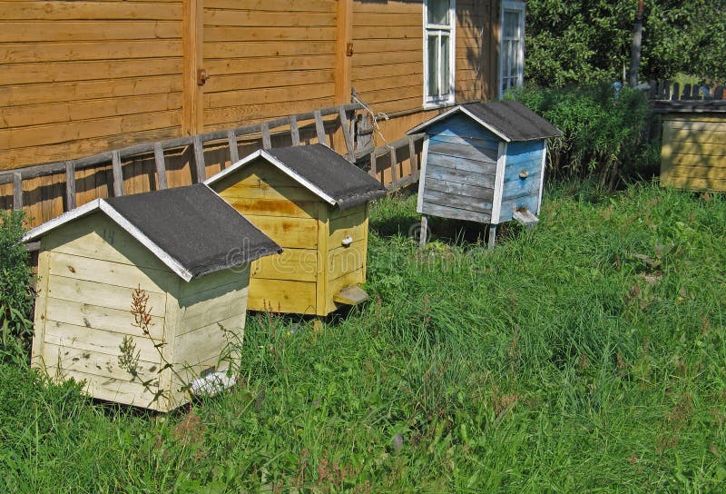 Blue hive stock photo. Image of apiculture, hive, wood - 865768