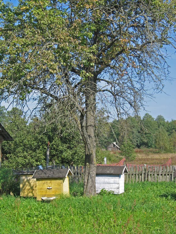 Old hives stock image. Image of garden, honey, beehive - 27612225