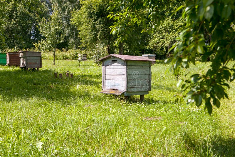Old hives in countryside stock photo. Image of wooden - 112091008