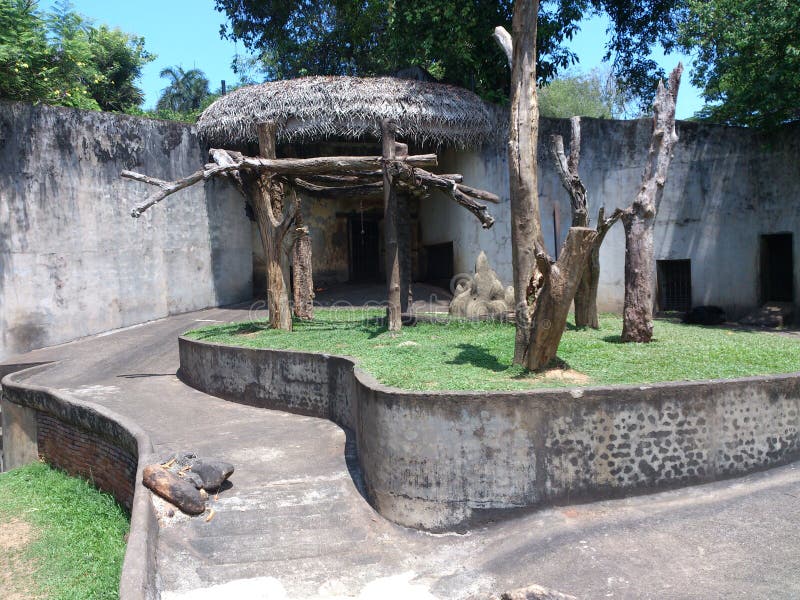 Most Beautiful Bird Wallpapers Stock Photos - Free & Royalty-Free Stock ...