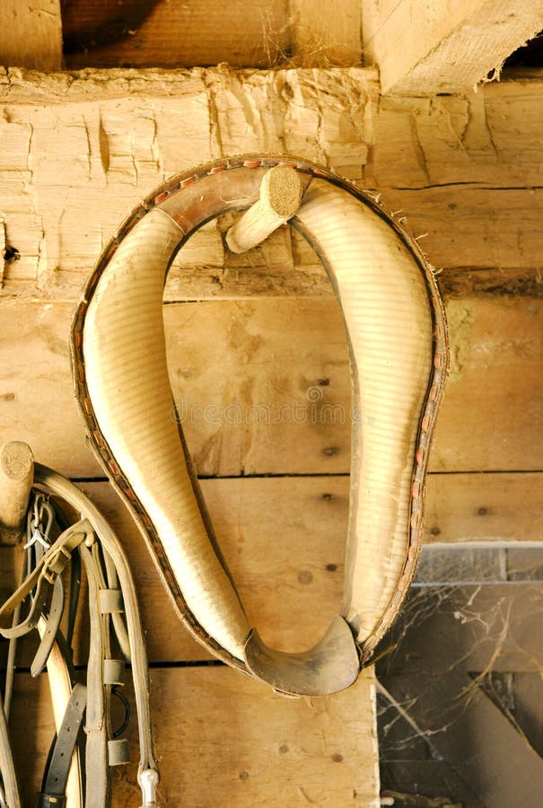 Old Horse Collars and Bridals on Farm Wall Stock Image - Image of ...