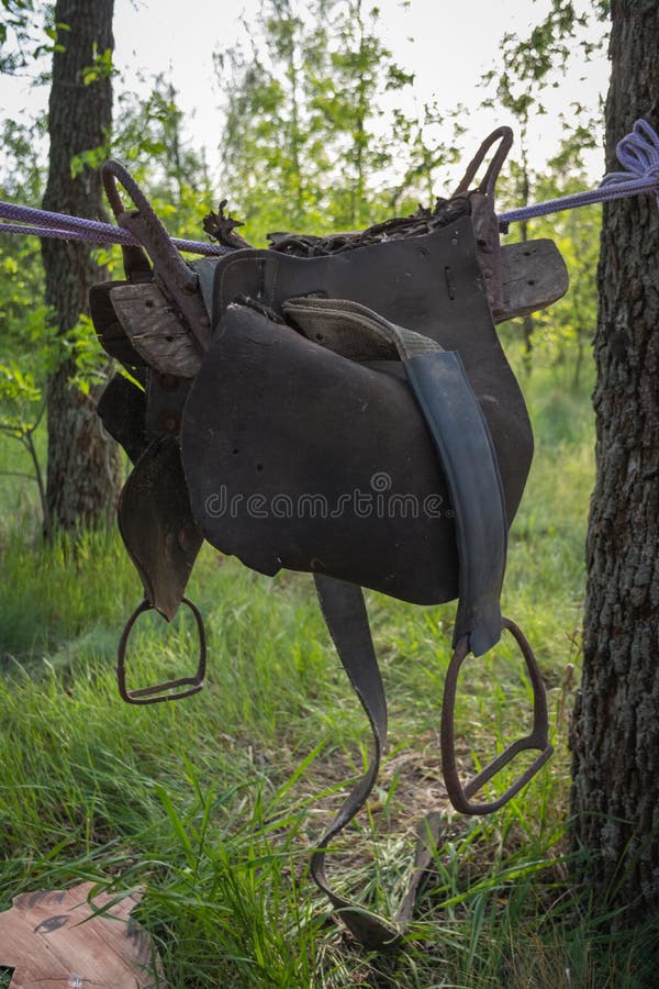 Old Horse Saddle Hanging on a Rope in the a Forest between Tree. Cowboy ...