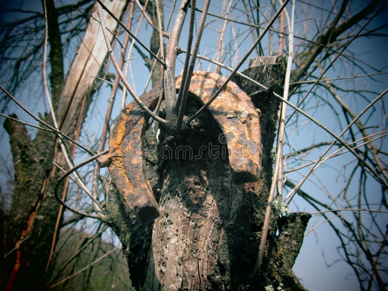 Old horseshoe on a tree stock image. Image of temple - 381602851