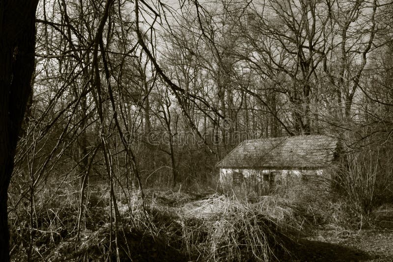 Old house stock image. Image of house, hunted, forrest - 888083
