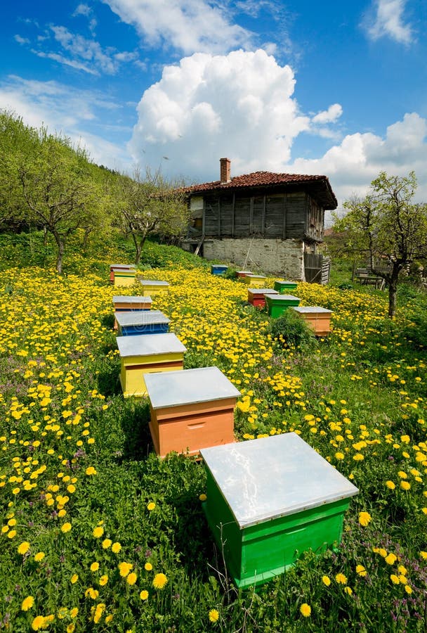 Old house and apiary stock photo. Image of dandelion, bulgaria - 1337232