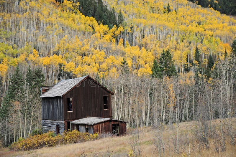 Old house in autumn forest stock image. Image of forest - 27540263