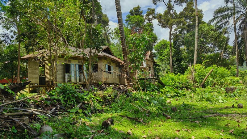 Old house behind jungle stock photo. Image of plantation - 374977228