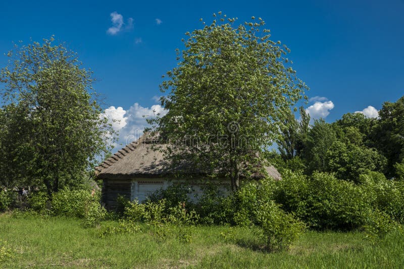 Autumn Tree Behind A Wooden House Stock Image - Image of leaves, season ...