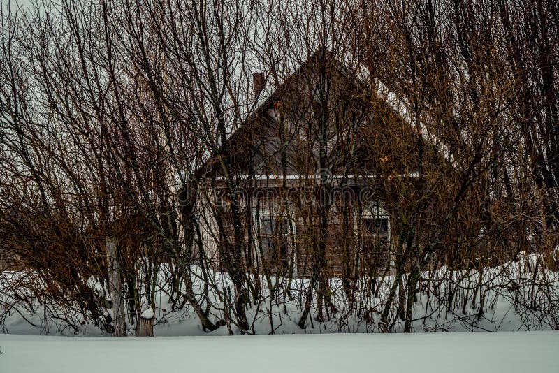 Old house behind the trees stock image. Image of dome - 139983475