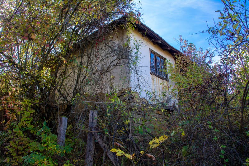 An old house in the bush stock photo. Image of garden - 347394228