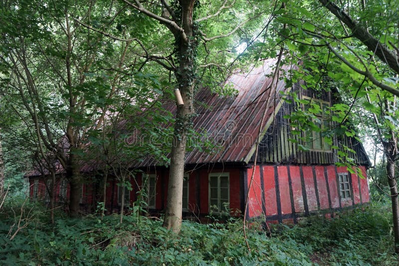 Old house stock photo. Image of forest, roof, leaves - 156477386