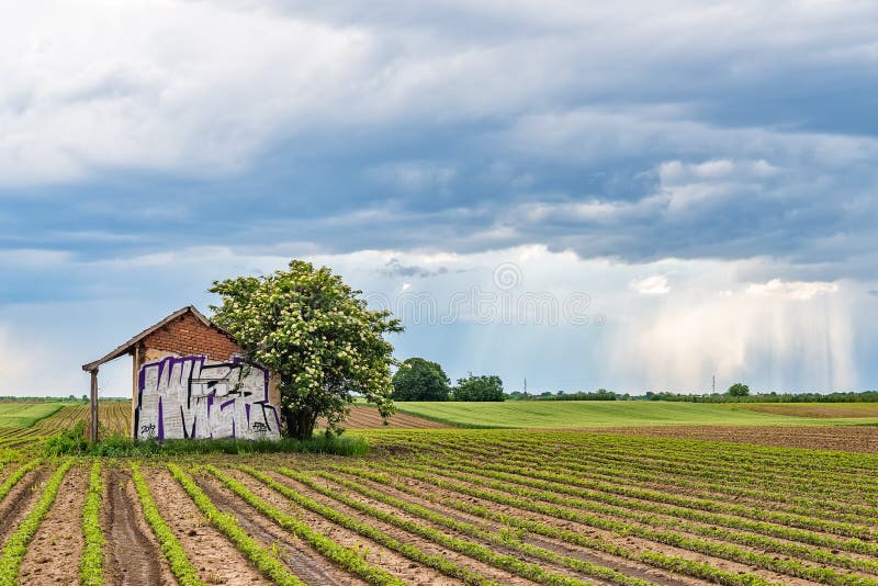 Old House in the field stock photo. Image of farm, eternity - 148305032
