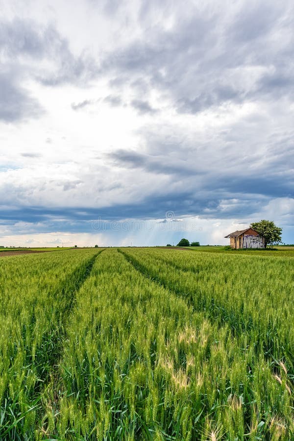 Old House in the field stock image. Image of house, panoramic - 148305339