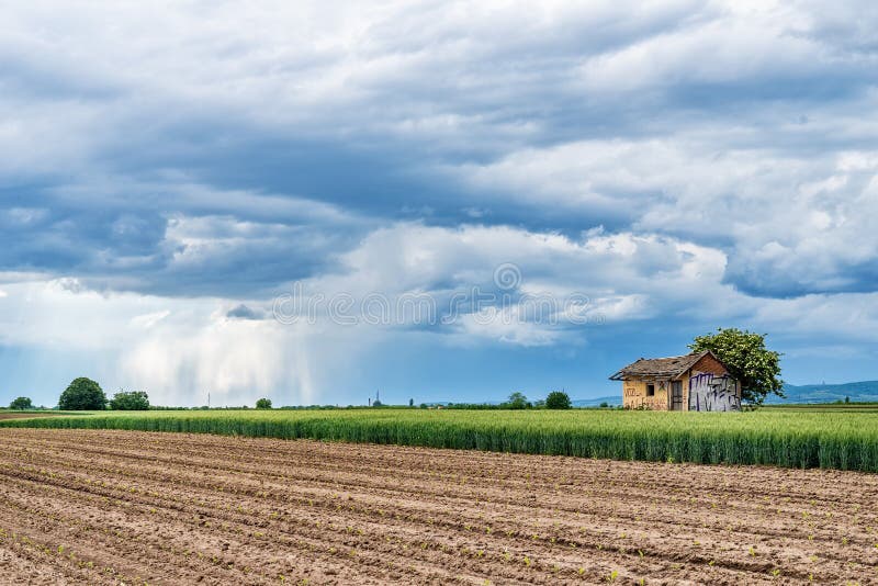 Old House in the field stock photo. Image of farmhouse - 148305394