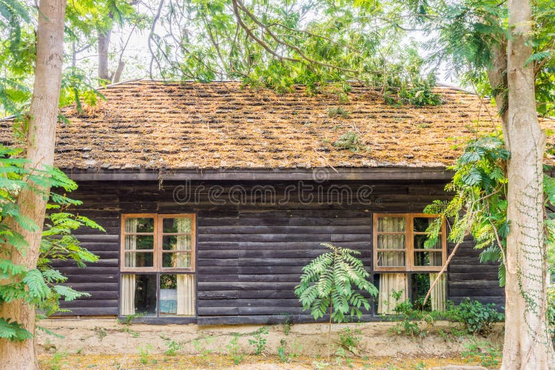 Old house in forest stock photo. Image of jungle, structure - 91380796