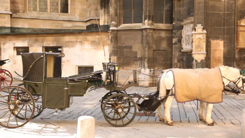 Old House Has an Empty Carriage with Pair of Stock Footage - Video of ...