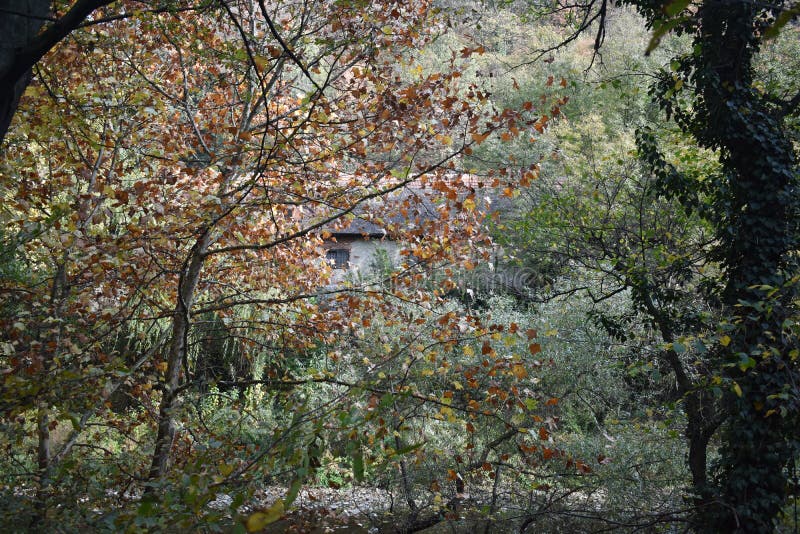 Old House Hidden by the Trees Stock Image - Image of house, hidden ...