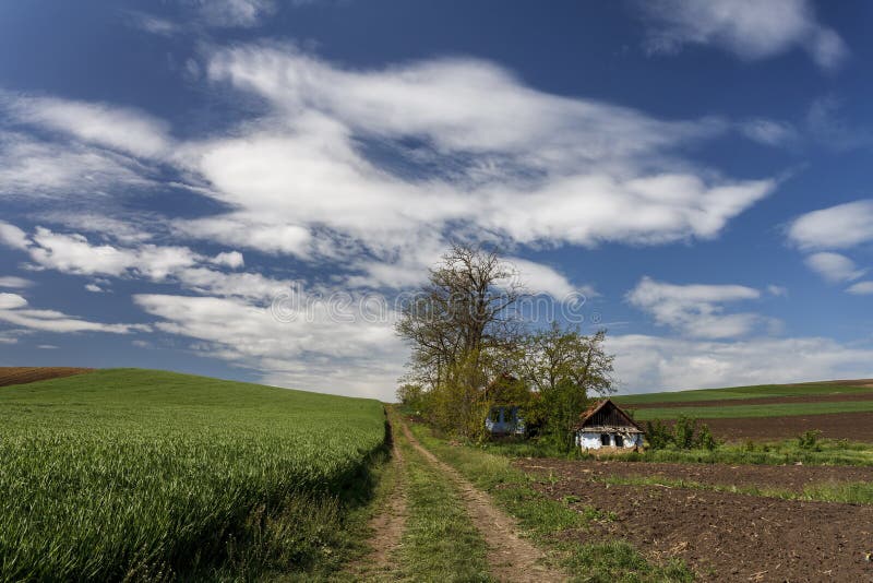 Old House Near a Field of Grain Stock Image - Image of grain, country ...