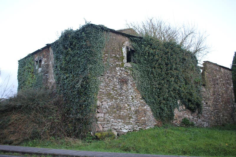 Old House Overrun by Nature Stock Photo - Image of window, architecture ...