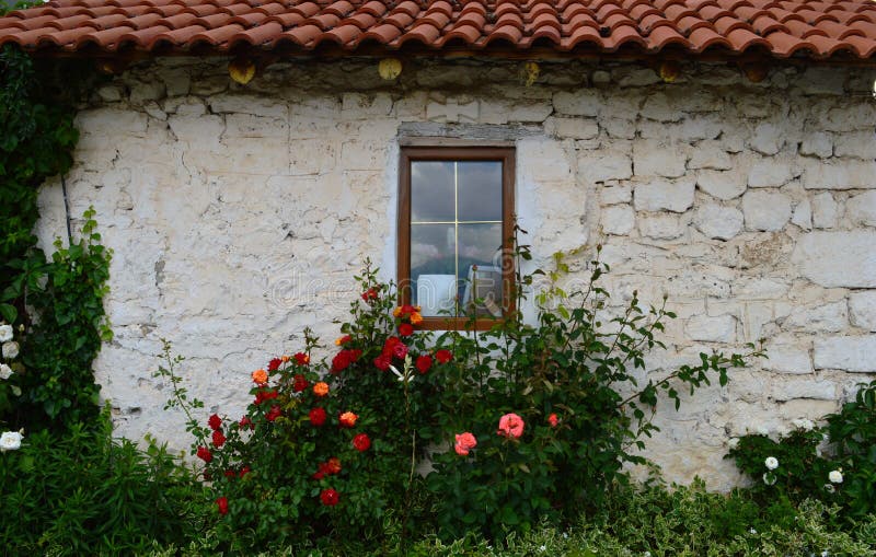 House and Roses Under the Window Stock Image - Image of grass, house ...