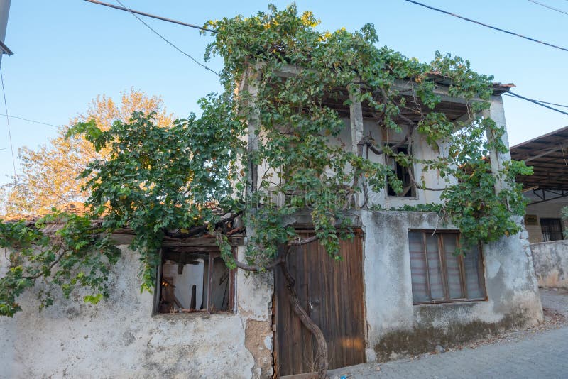 An Old House with Trees Covering Stock Photo - Image of wild, cottage ...