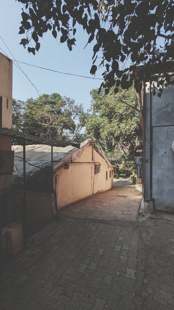 Old House, Trees, Vintage,Google Pixel 6a Stock Image - Image of house ...