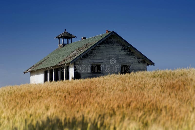 Old house in wheat field stock photo. Image of states - 1717368