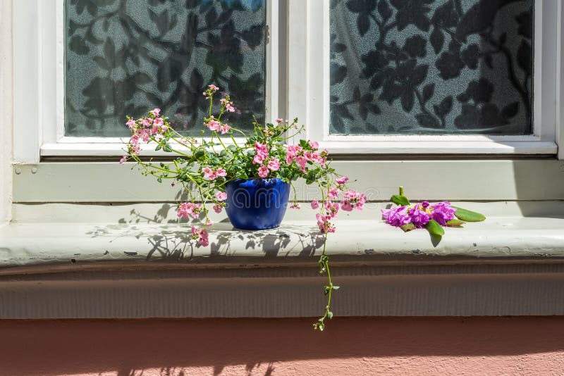 Window In An Old House Decorated With Flower Pots Stock Image - Image ...
