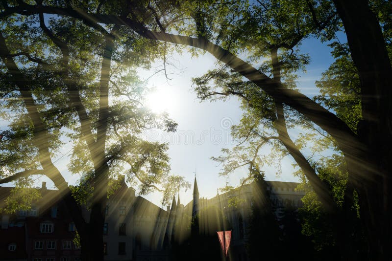 Old Houses in Riga in the Rays of the Sun in the Park Stock Photo ...