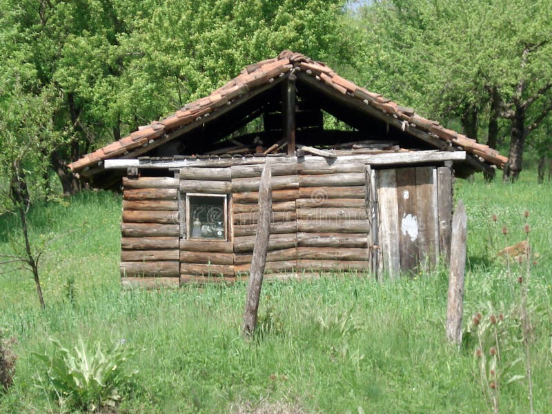 Old Hovel stock photo. Image of tree, autumn, abandon - 5019162
