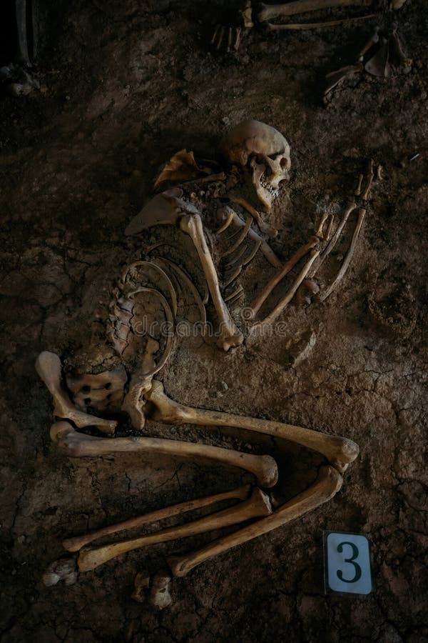Old Human Skeleton in Ancient Tomb at Archaeological Excavation Stock ...