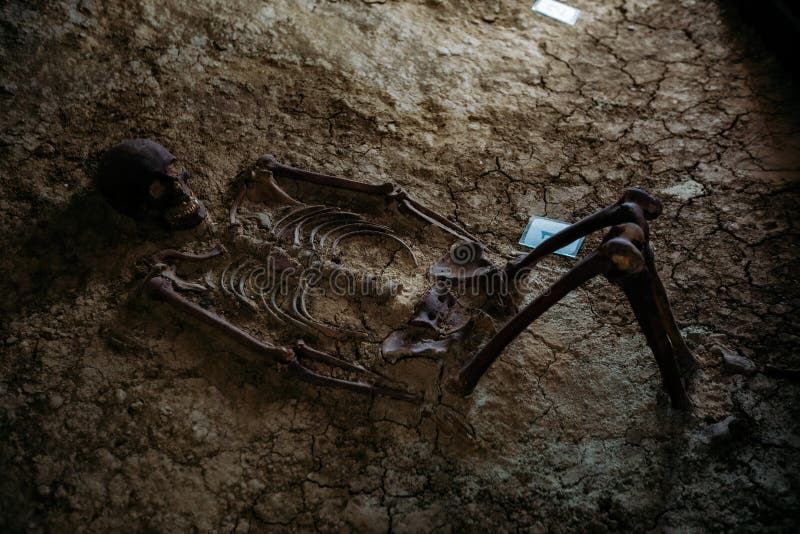 Old Human Skeleton in Ancient Tomb at Archaeological Excavation Stock ...