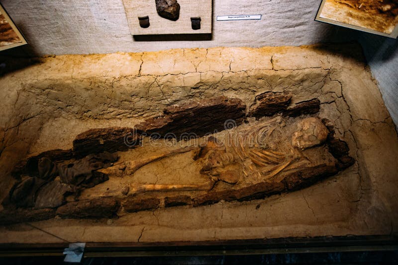 Old Human Skeleton in Ancient Tomb at Archaeological Excavation Stock ...