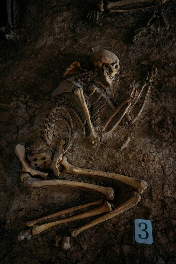 Old Human Skeleton in Ancient Tomb at Archaeological Excavation Stock ...