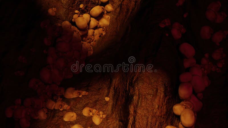 Old Human Skulls Left Over from the Battle. the Concept of War and the ...